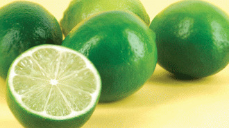 Limão: fruta comum na dieta traz grandes benefícios para saúde