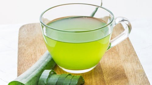 Conheça os benefícios da babosa para o organismo